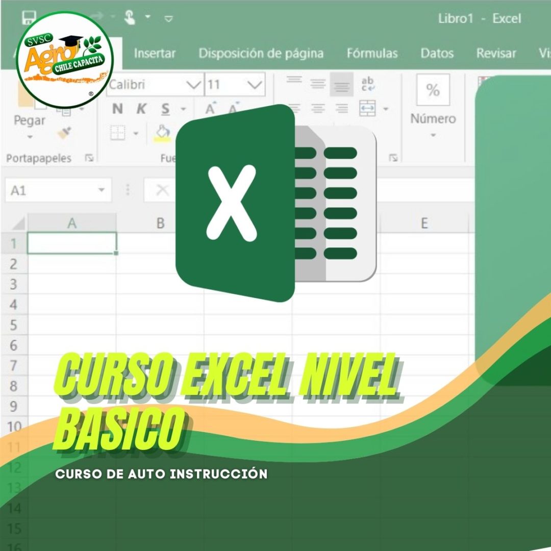 Curso Excel Básico – Cursos Excel Agrochile Capacita