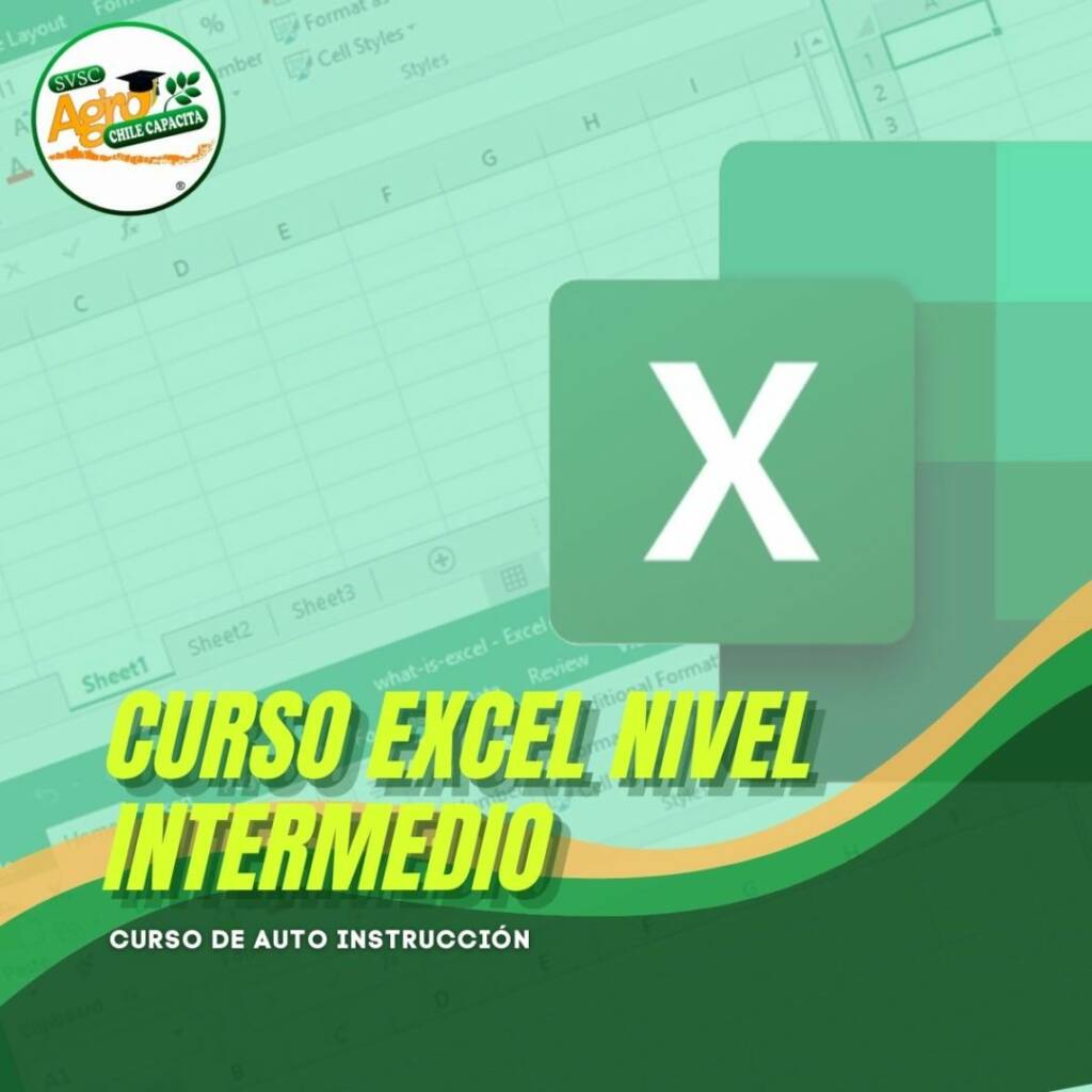 Cursos Excel Agrochile – Cursos Online Asincrónicos