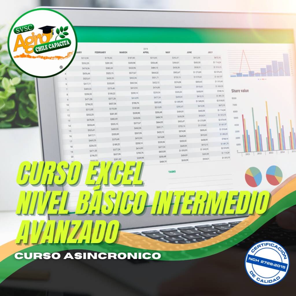 Cursos Excel Agrochile – Cursos Online Asincrónicos